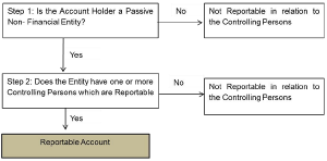 Financial Accounts & Reportable Financial Accounts under FATCA & CRS