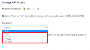What is API Access Permission under GST and why it is needed