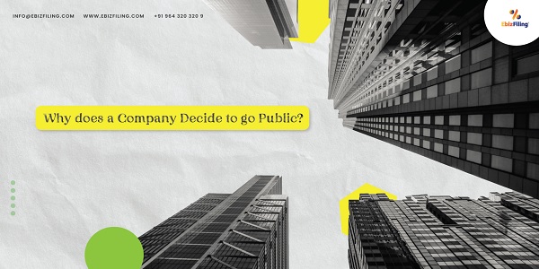 Why A Private Limited Company decides to become Public Limited Company?