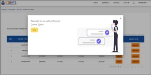 ICEGATE Advisory for E-scrip to avail Export Incentive Schemes (RoSCTL ...