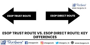 ESOP Trust Route vs. ESOP Direct Route: Key Differences